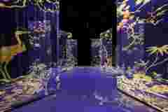 Barco illuminates the digital art of the Forbidden City - Barco
