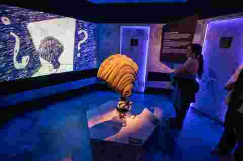 Tim Burton’s protagonists brought to life with Barco projection - Barco