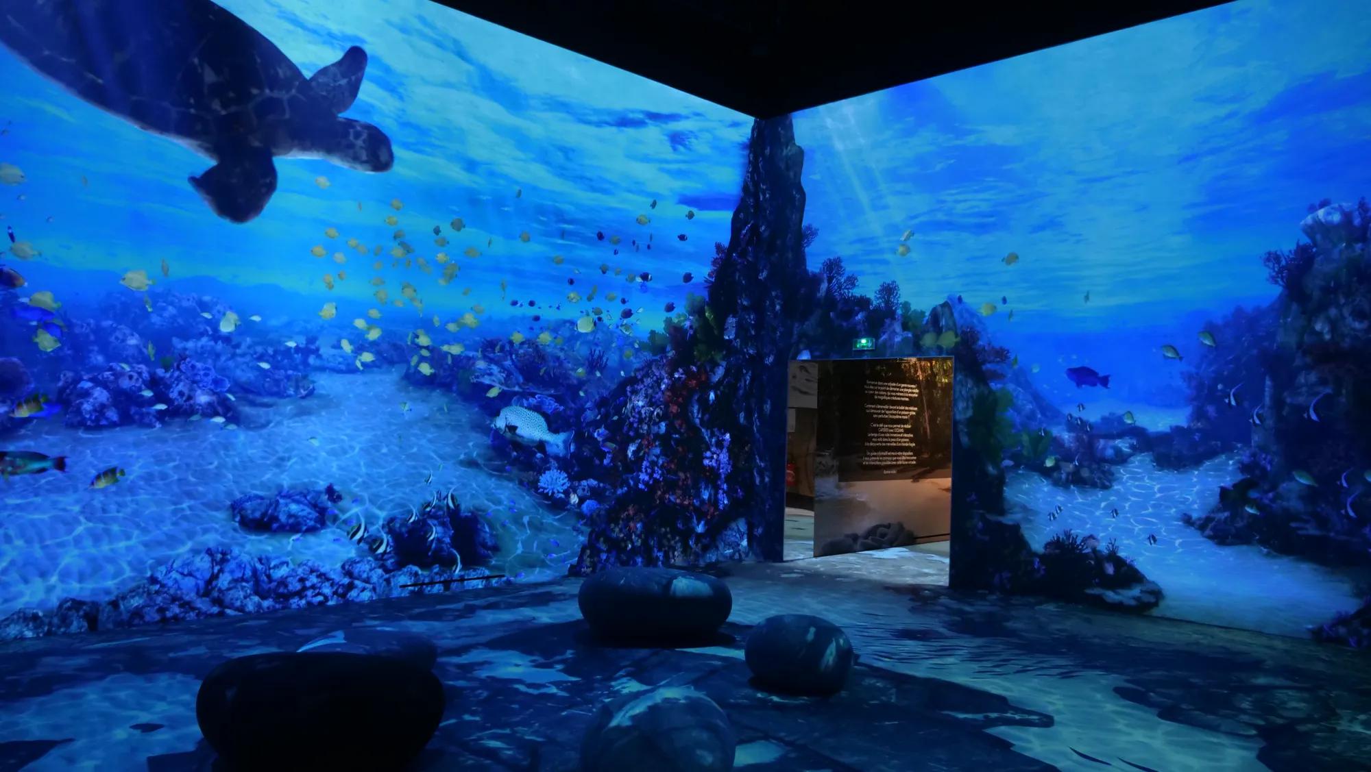 Barco G60 offers immersive aquatic experience - Barco