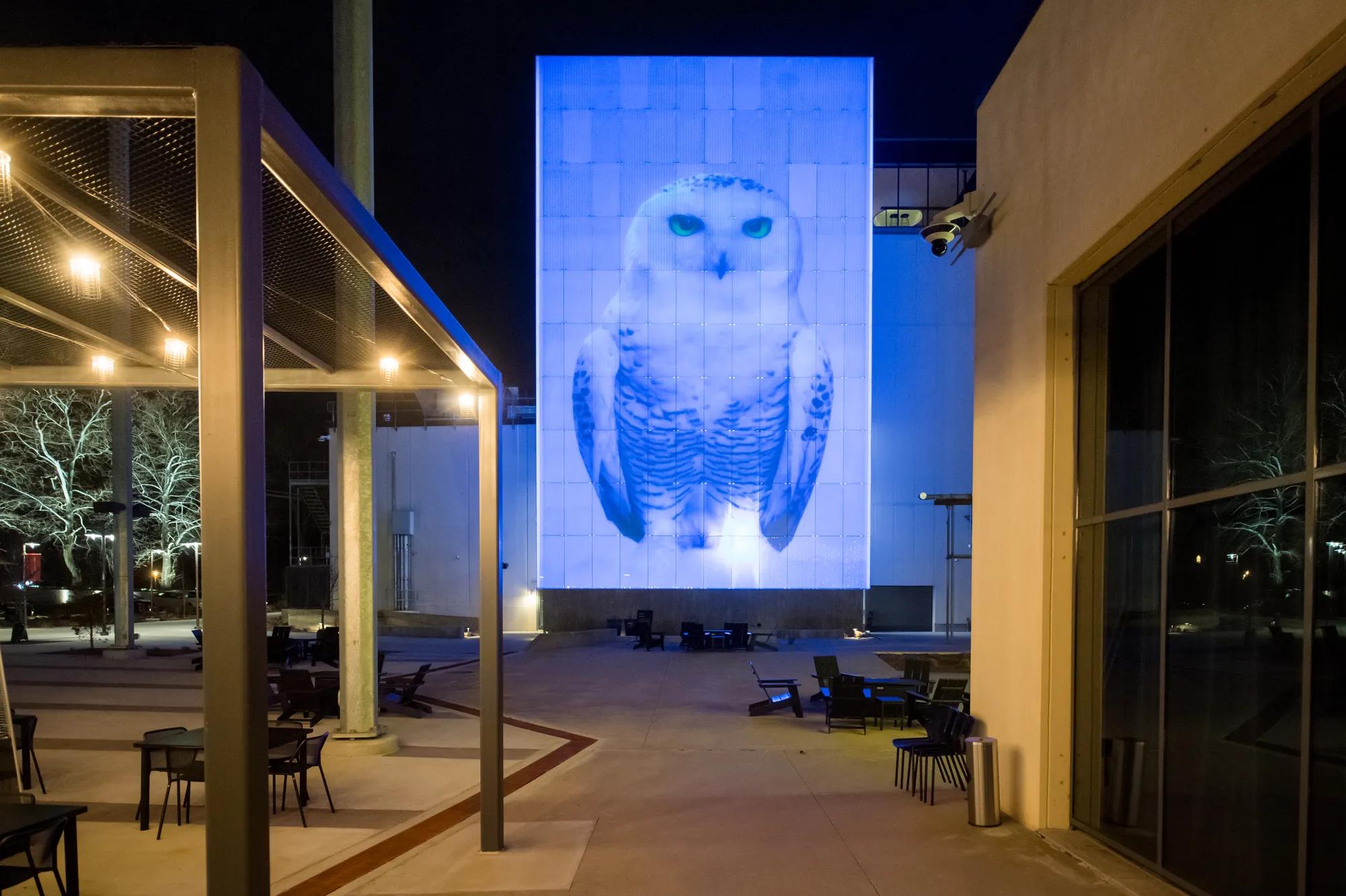A tower of light: illuminating art at The Momentary - Barco
