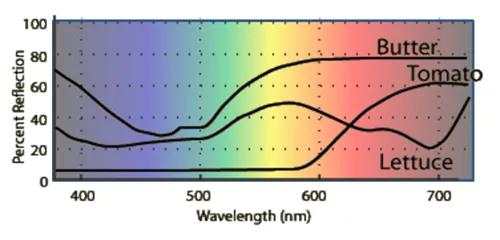 The colorful world of tomatoes and lasers: why is a tomato red? - Barco