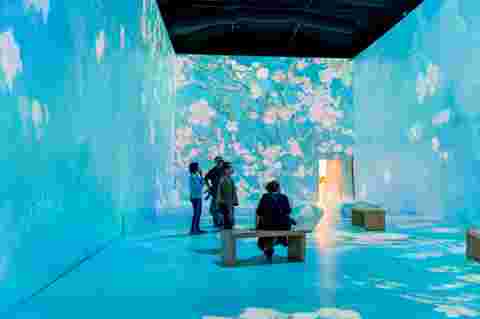 A brush with brilliance - The Silly Fellows illuminate van Gogh's ...