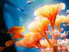 Barco UniSee II: many panels, acting as one - Barco