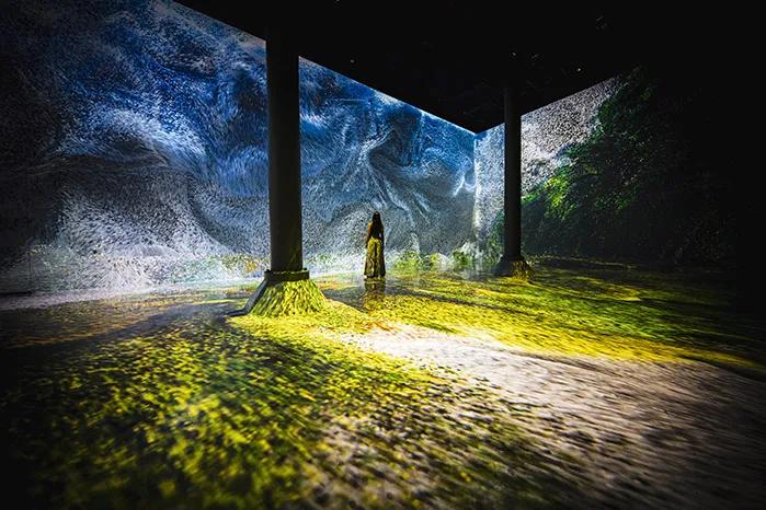 Barco and ARTECHOUSE, the crossroads of art, science and technology ...